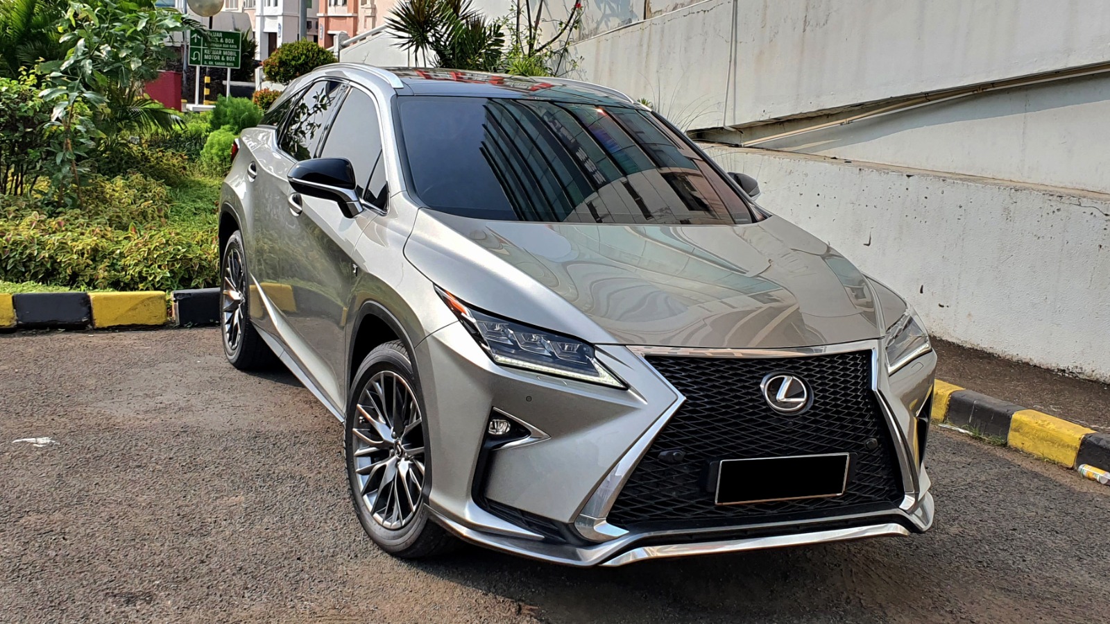 Lexus RX 300 F Sport AT 2018 4728159